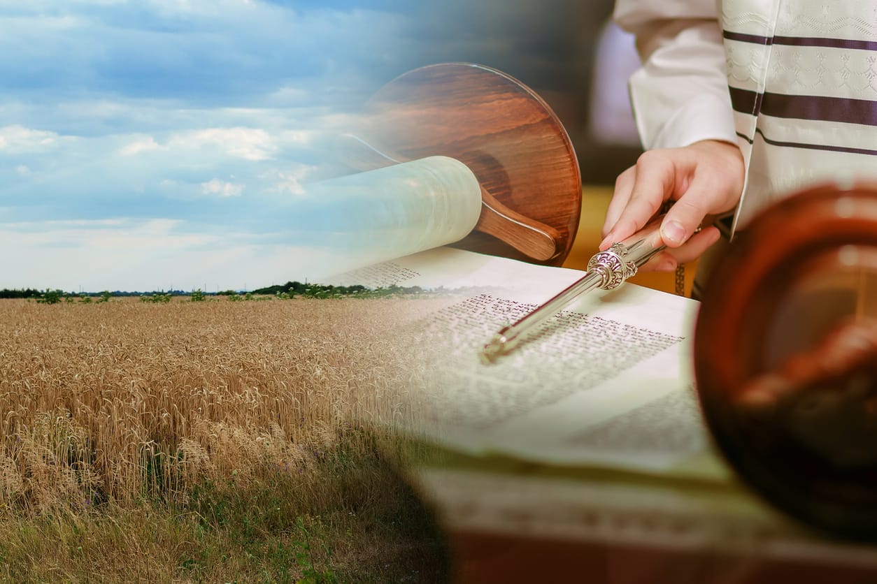 Passover to Shavuot: The Journey and the Covenant - The Joyful Dabbler